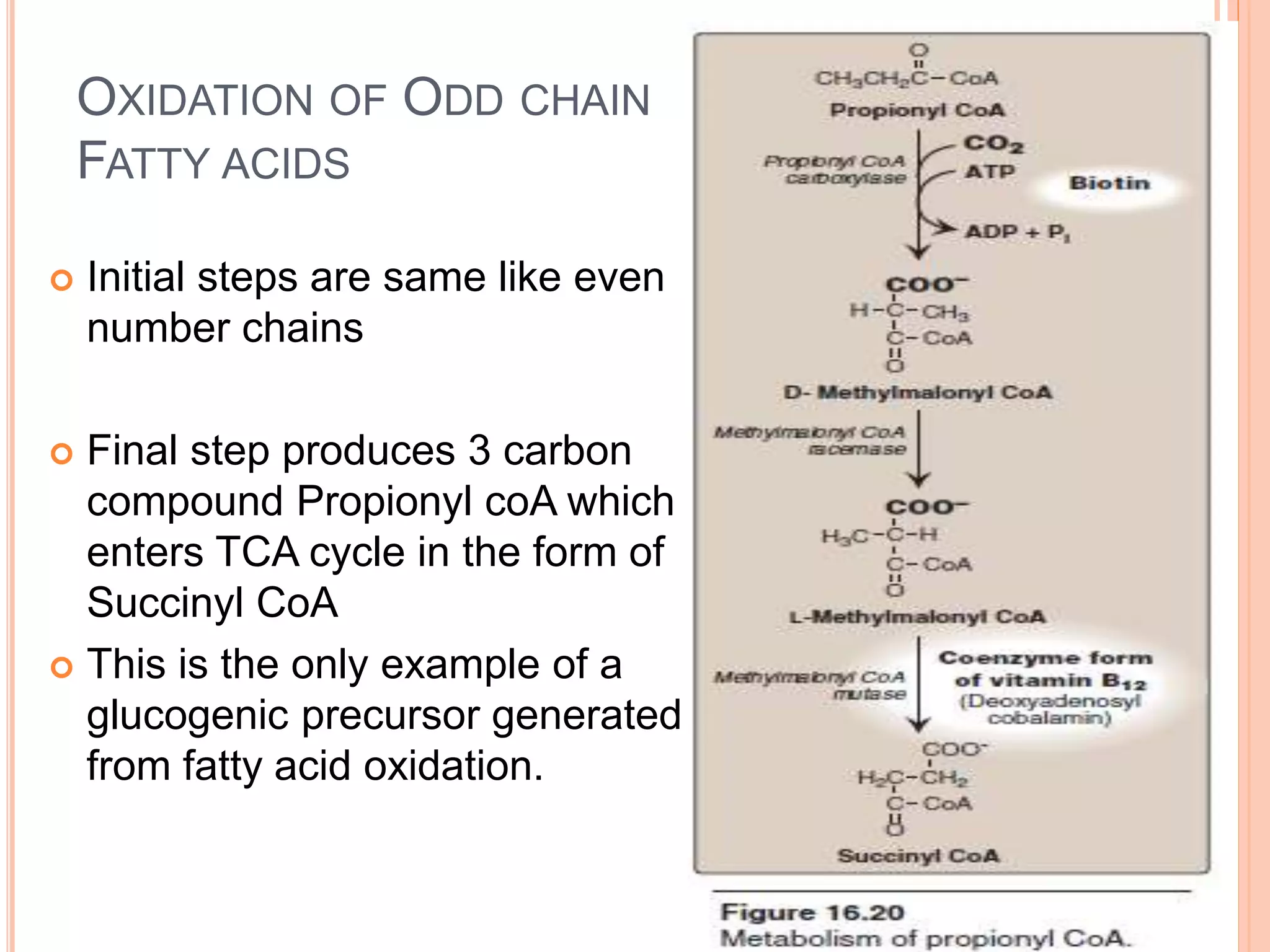 oxidation of alpha, beta fatty acid and unsaturated fatty acid | PPTX