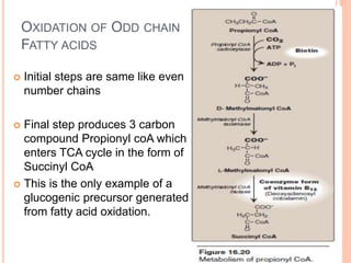 oxidation of alpha, beta fatty acid and unsaturated fatty acid | PPTX