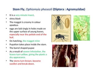 Lec 5 a - Red gram & Bengal gram.ppt and management | PPT