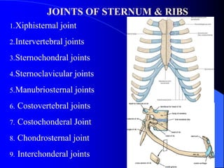 Lec_5_Anatomy_Respiratory System_18-3-25 (1).pdf