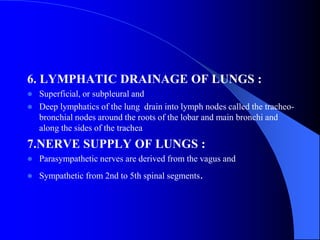 Lec_5_Anatomy_Respiratory System_18-3-25 (1).pdf