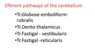 5 Cerebellum.pptx