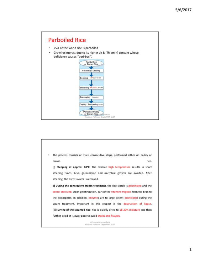 Parboiled Rice | PDF
