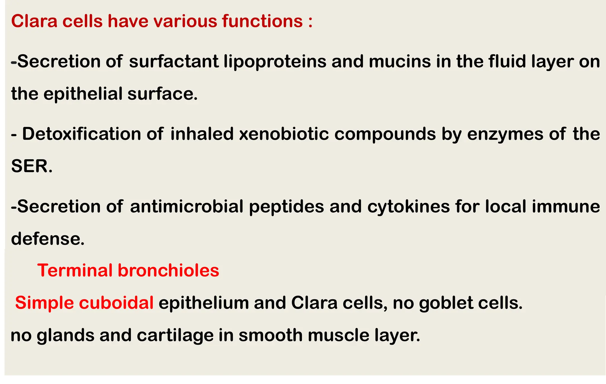 LEC 5 HISTOLOGY.pdf respiratory systems | PDF