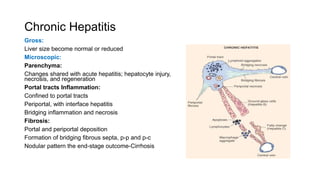 Inflammatory liver disease | PPTX