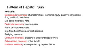 Inflammatory liver disease | PPTX