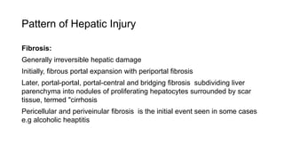 Inflammatory liver disease | PPTX