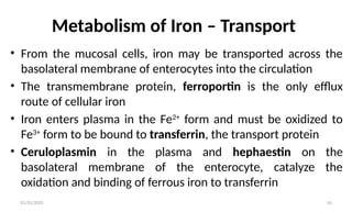 Lecture Five - Iron metabolism FINAL.pptx