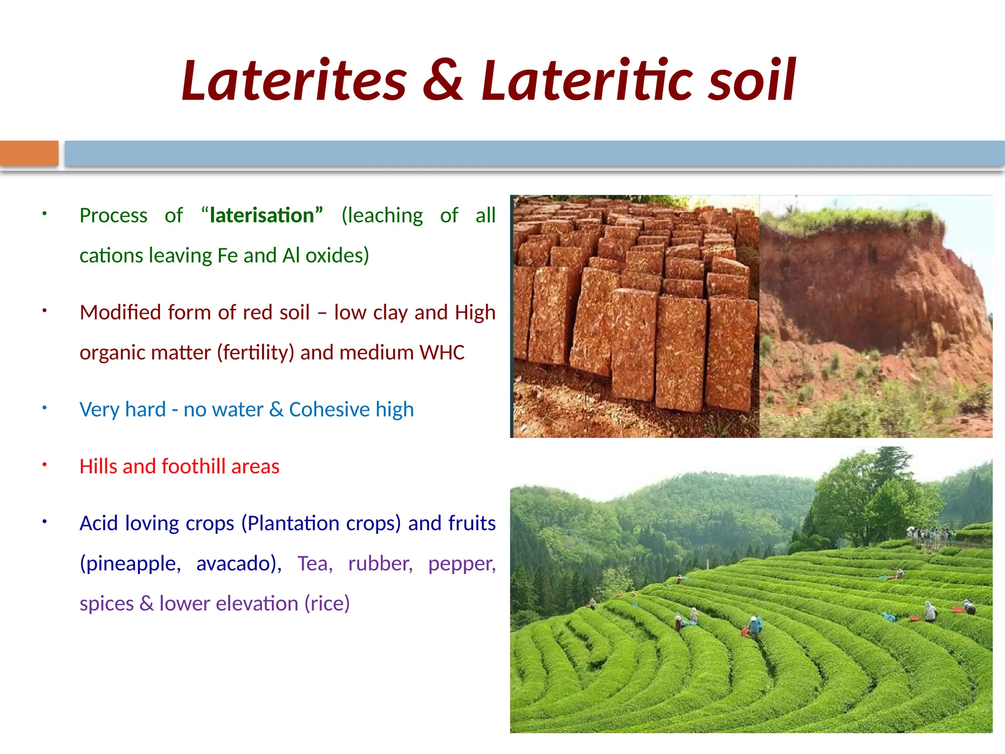 Major important Soils in India and Tamil Nadu.pptx