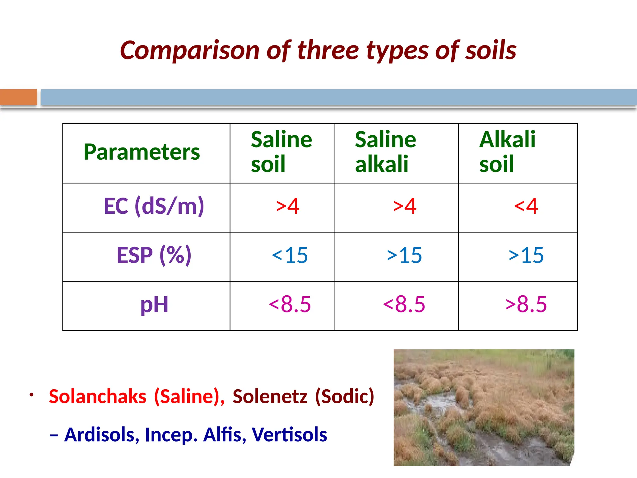 Major important Soils in India and Tamil Nadu.pptx