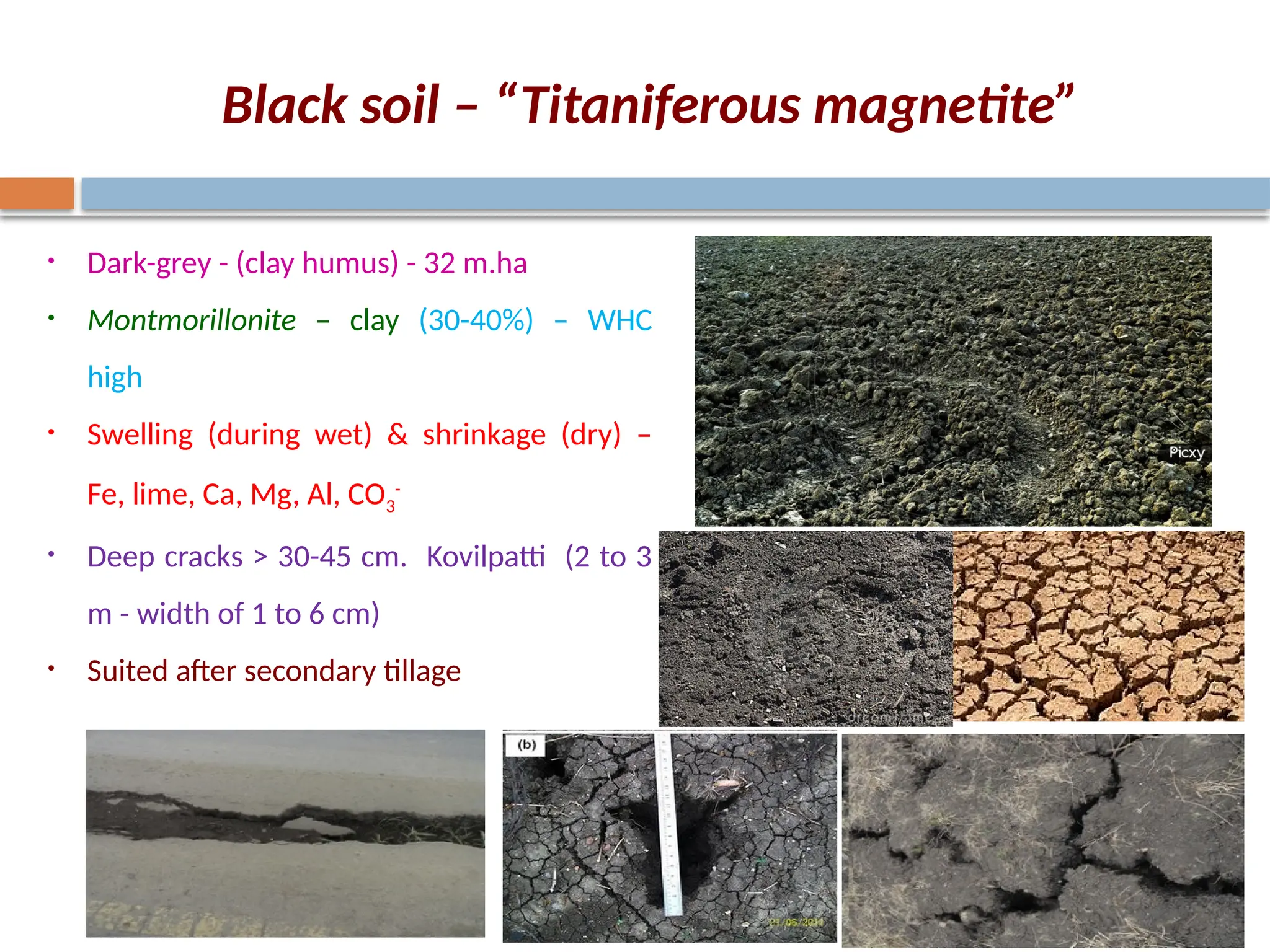 Major important Soils in India and Tamil Nadu.pptx