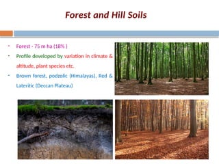Major important Soils in India and Tamil Nadu.pptx