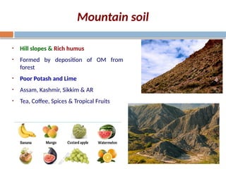 Major important Soils in India and Tamil Nadu.pptx