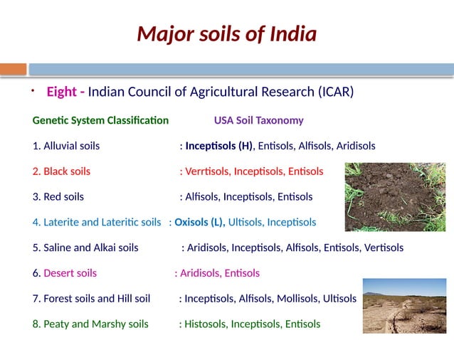 Major important Soils in India and Tamil Nadu.pptx