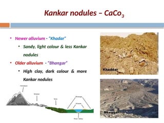 Major important Soils in India and Tamil Nadu.pptx
