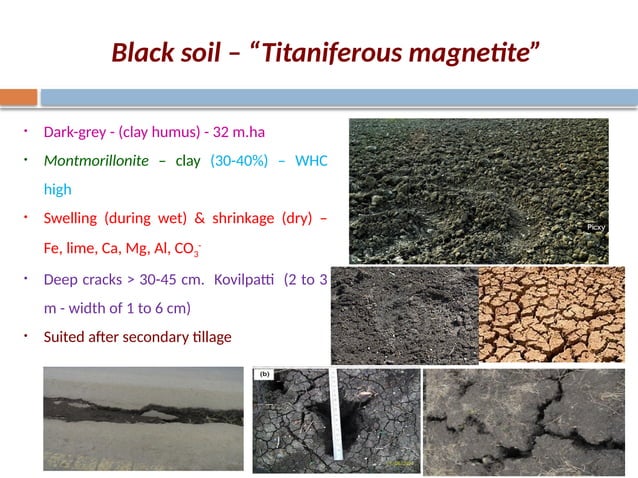 Major important Soils in India and Tamil Nadu.pptx