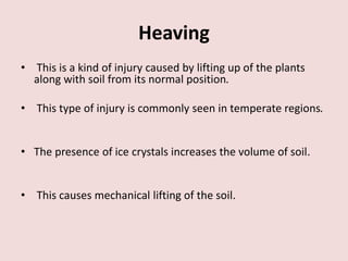 lec 5 meterology.pptx