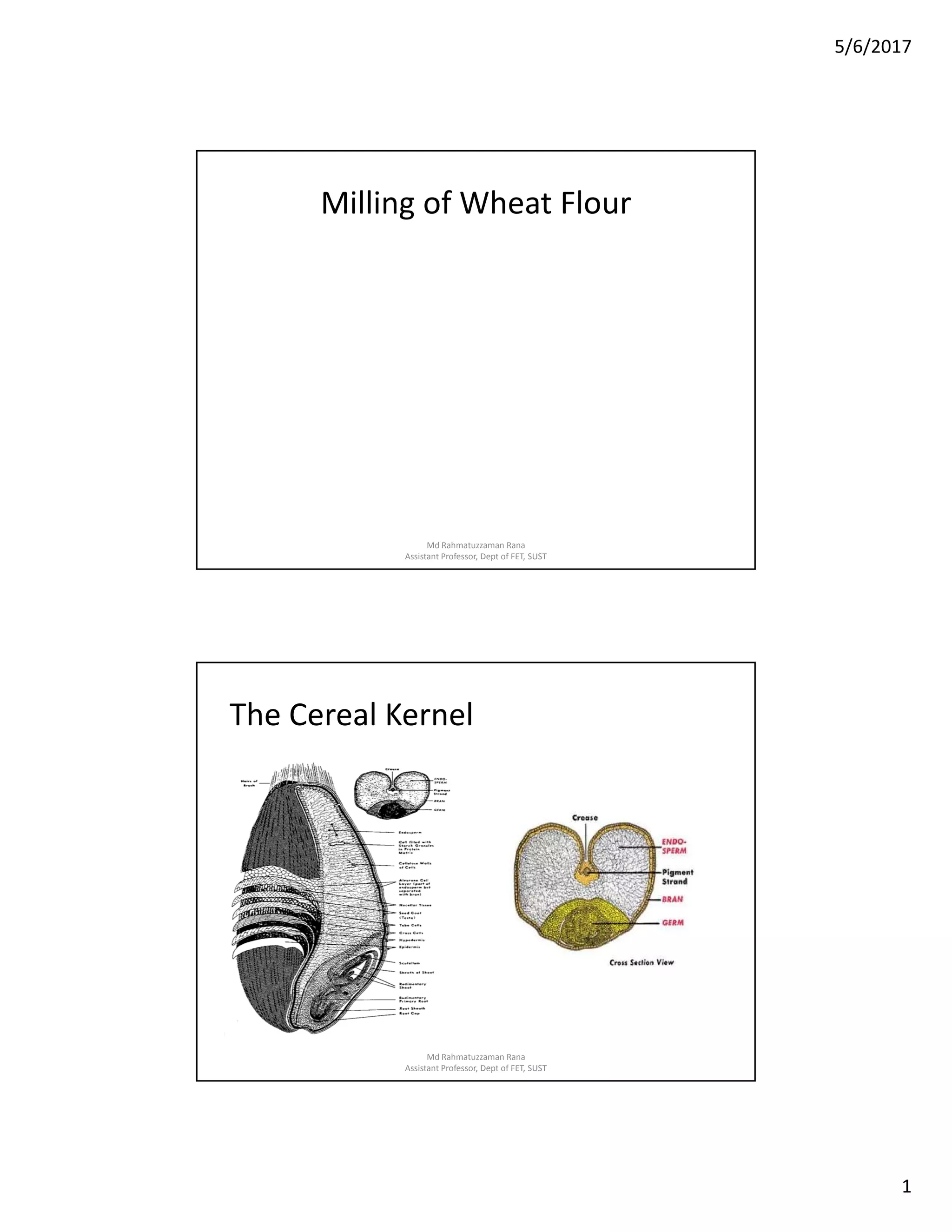 Milling of Wheat Flour | PDF
