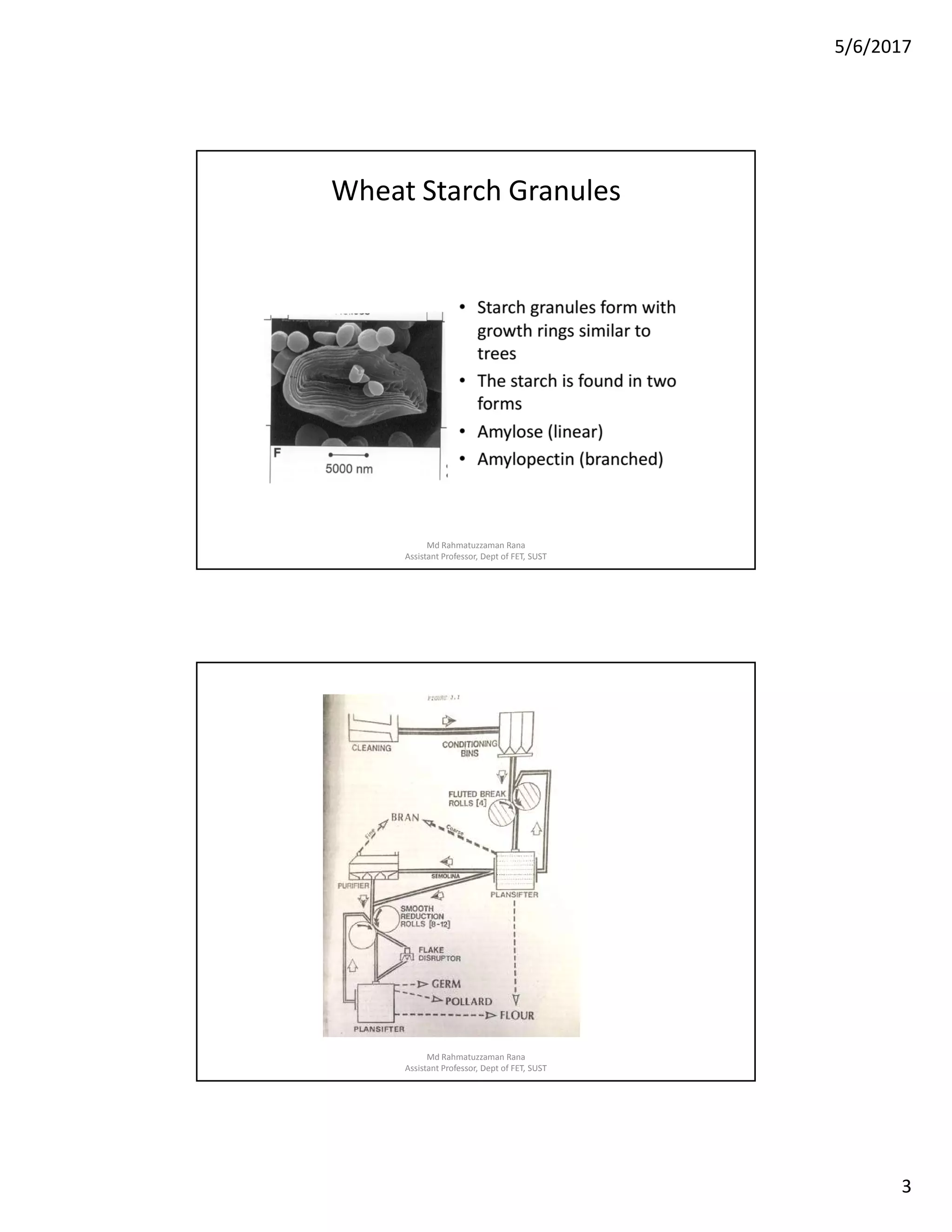 Milling of Wheat Flour | PDF