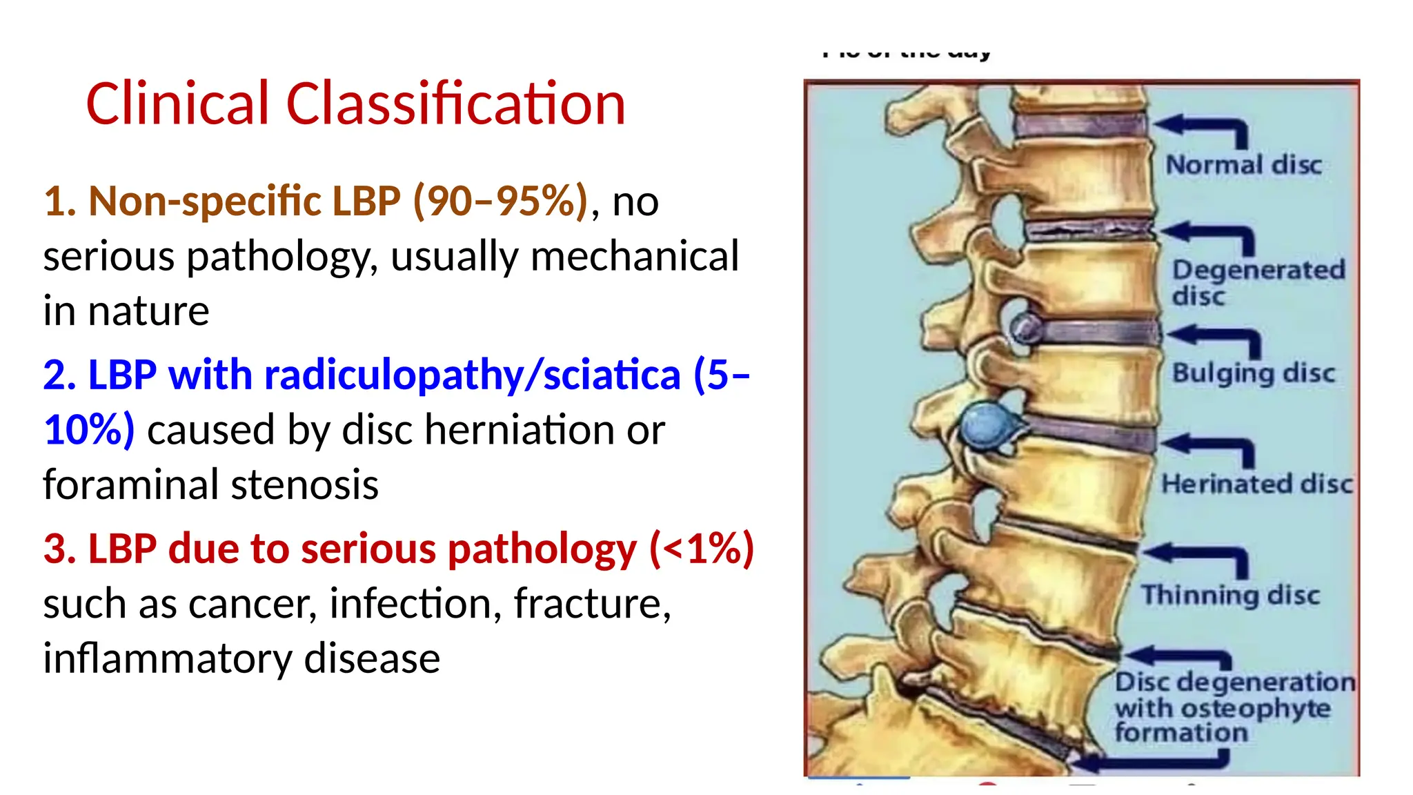 Non specific low back pain for physiotherapists | PPTX