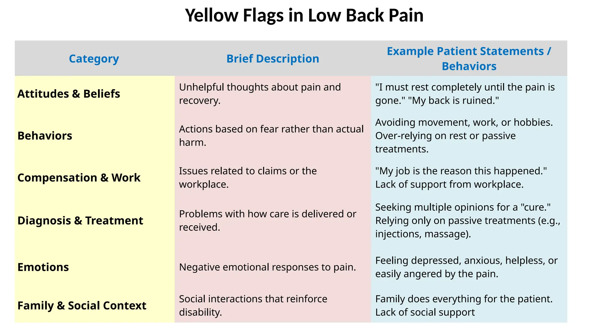 Non specific low back pain for physiotherapists | PPTX