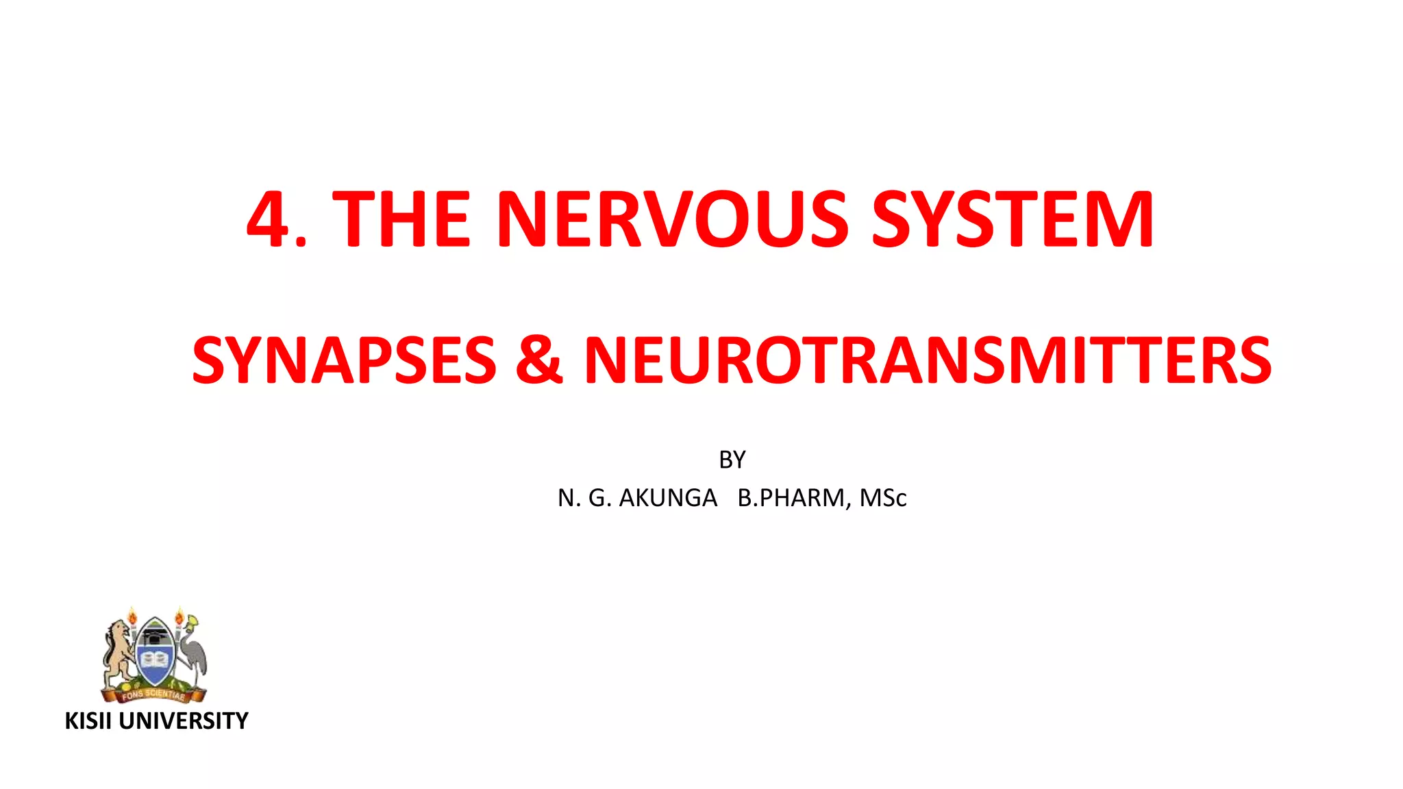 lec 5 NERVOUS SYSTEM_SYNAPSES_PPT_AKUNGA.pptx