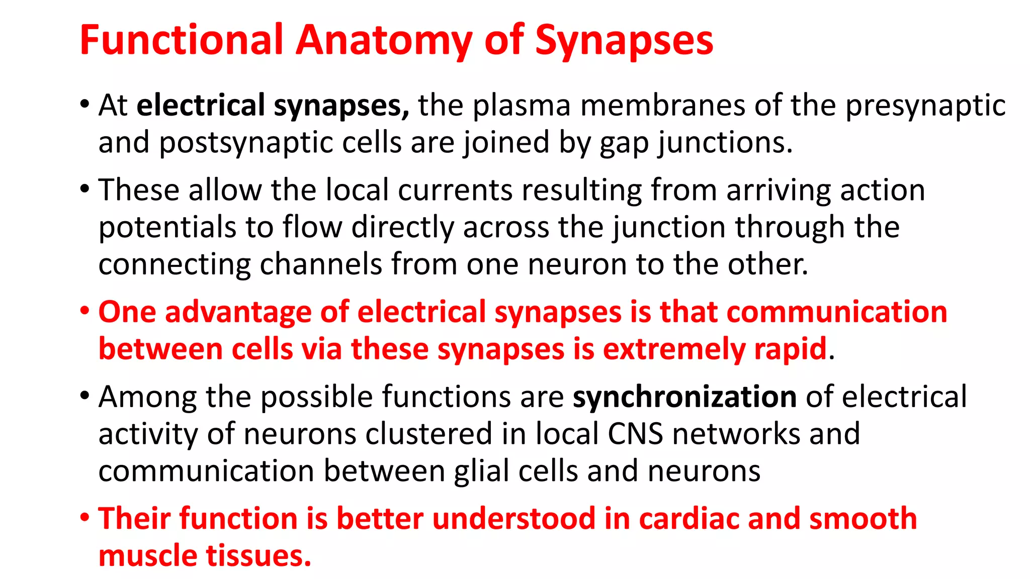 lec 5 NERVOUS SYSTEM_SYNAPSES_PPT_AKUNGA.pptx