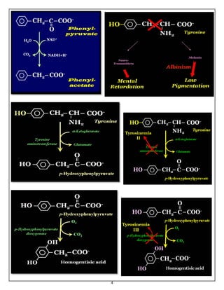 PhenylKetonuria & Alkaptomuria & Albinism & Cystinuria & Maple Syrup ...
