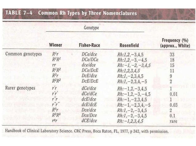 Lec 5 Rh system.pptx | Blood Disorders | Diseases and Conditions