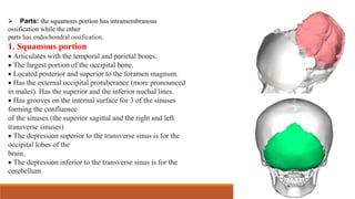 Lec 5 skull | PPT