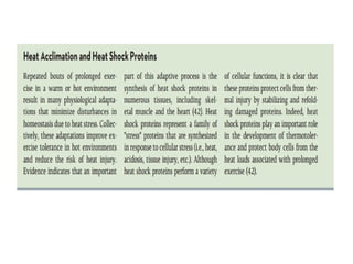 Temperature Regulation: Hot and Cold Acclimatization | PPTX