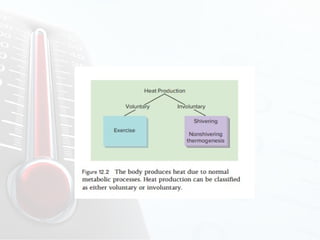 Temperature Regulation: Hot and Cold Acclimatization | PPTX