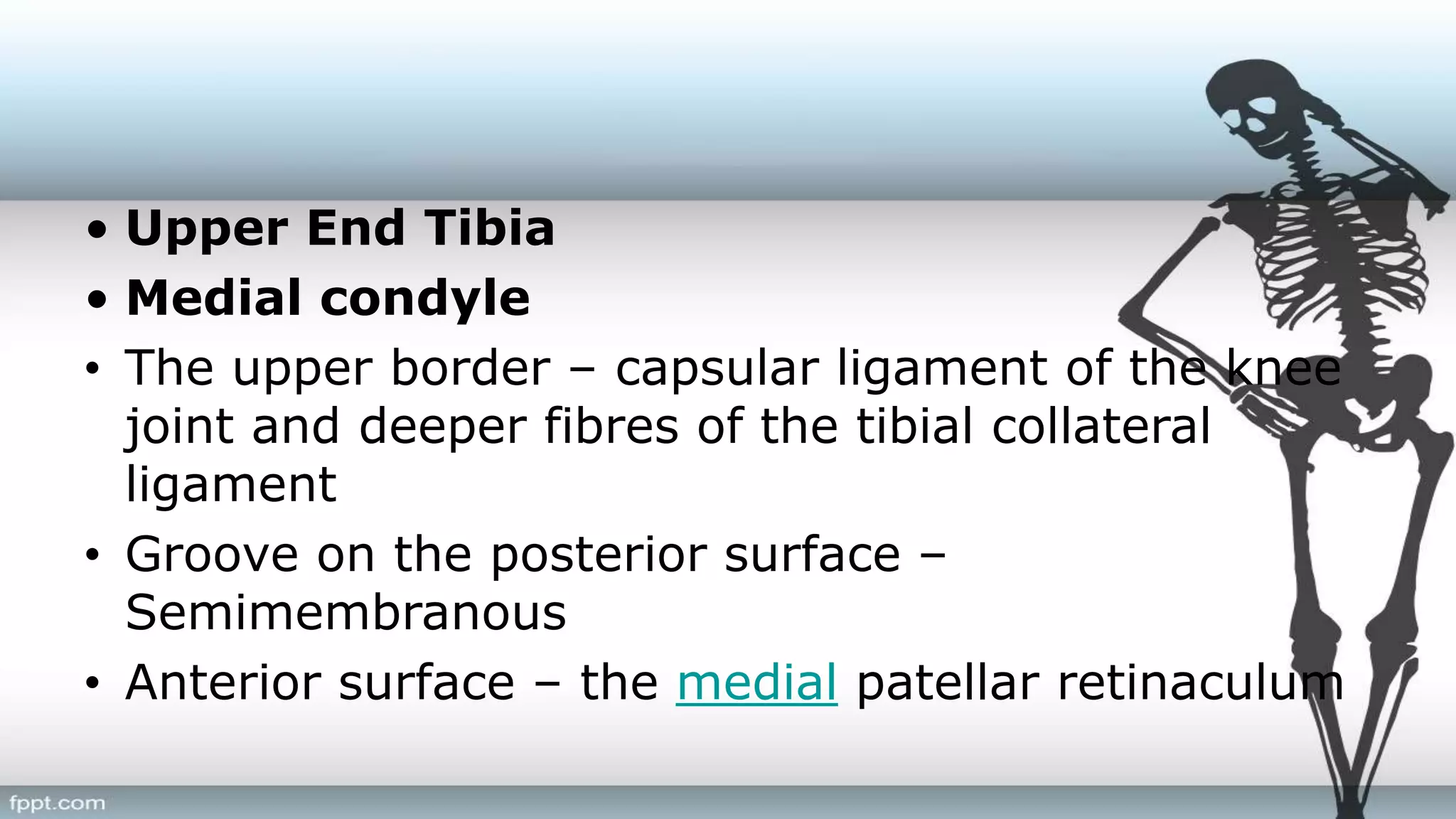 Lec 5 tibia bone | PPTX