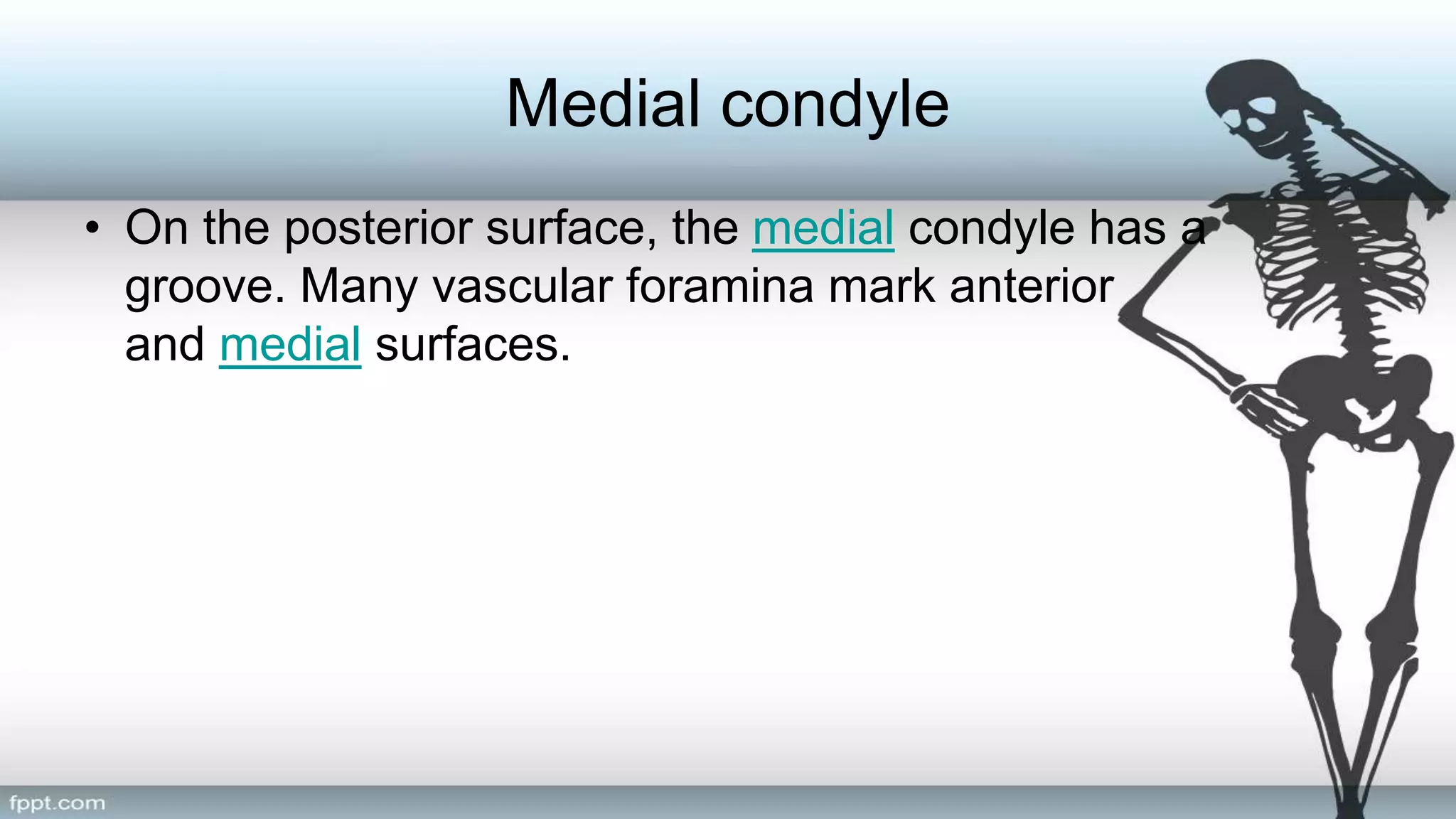 Lec 5 tibia bone | PPTX
