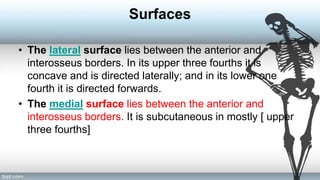 Lec 5 tibia bone | PPTX