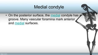 Lec 5 tibia bone | PPTX