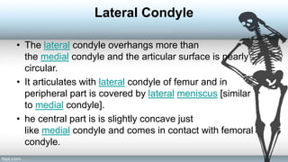 Lec 5 tibia bone | PPTX
