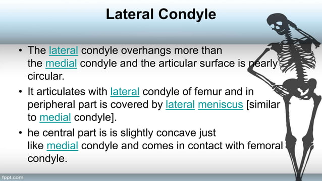 Lec 5 tibia bone | PPTX