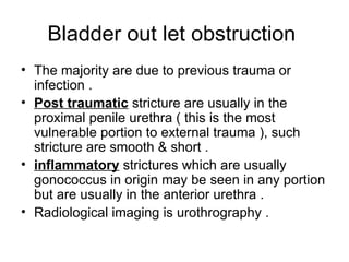 Radiology 5th year, 6th lecture (Dr. Nasrin Alatrushi) | PPT