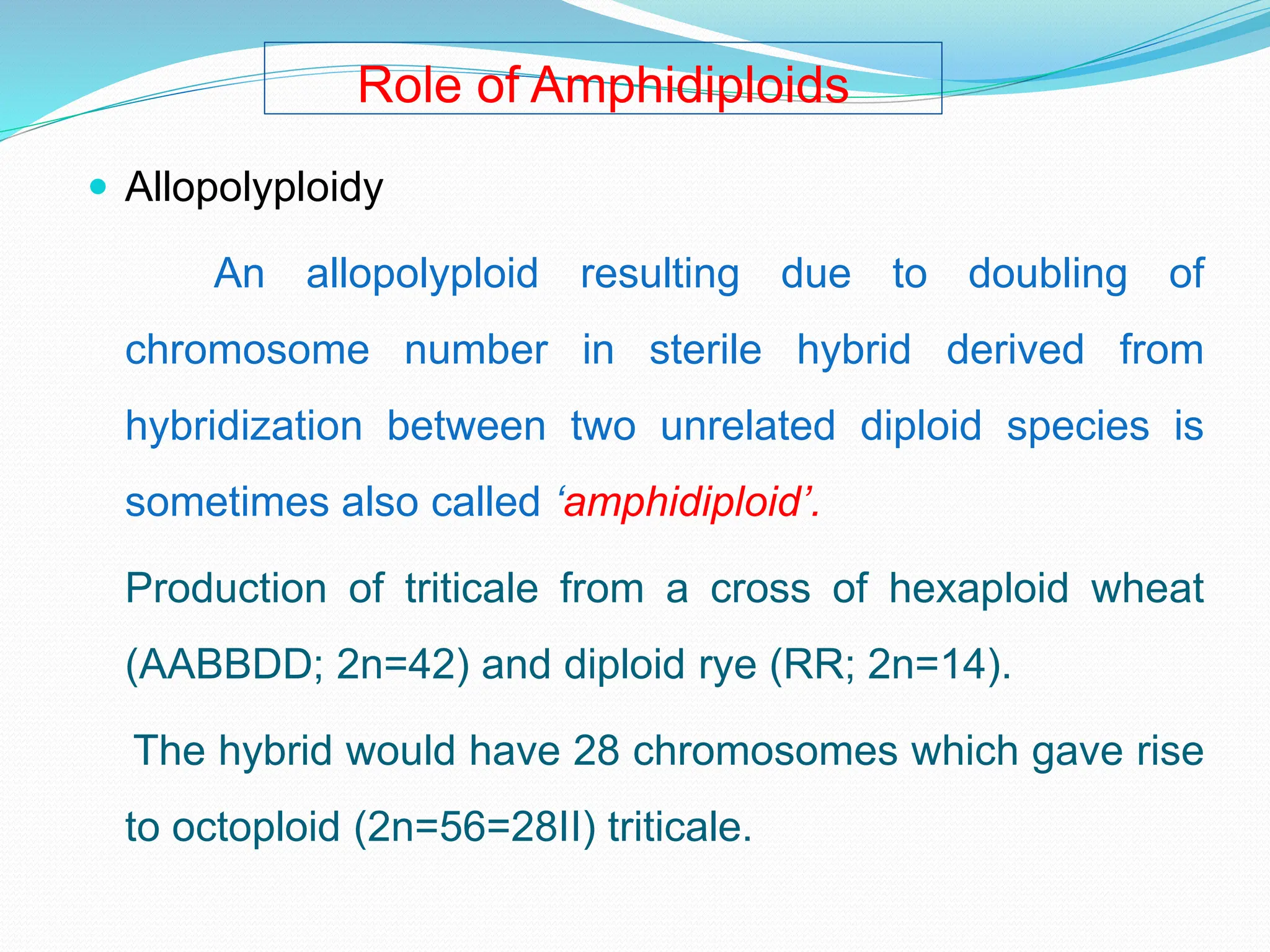 role of ampidiploid.pptx