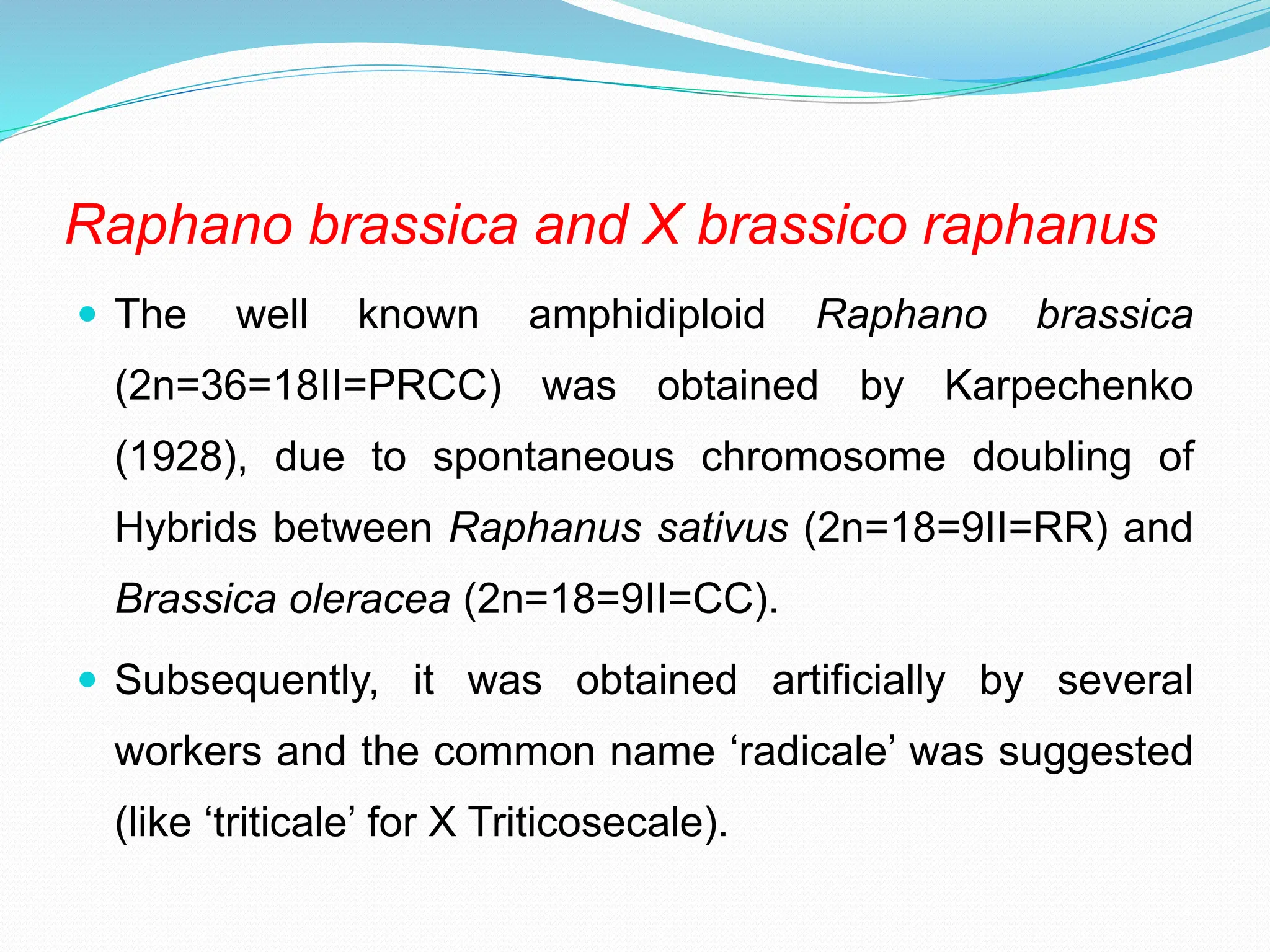 role of ampidiploid.pptx