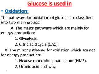 Lec 6 level 3-de (carbohydrate metabolism i) | PPT
