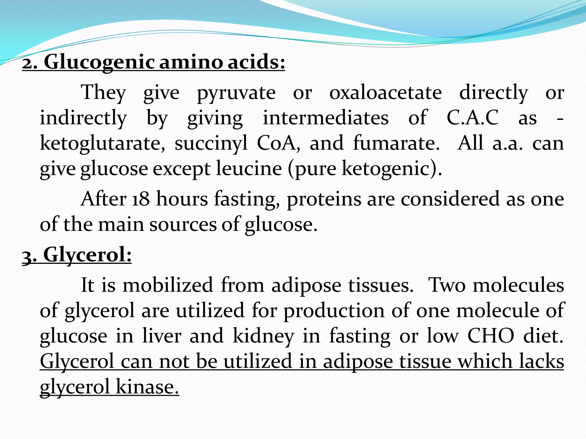 Lec 6 level 3-nu(carbohydrate metabolism ii) | PDF