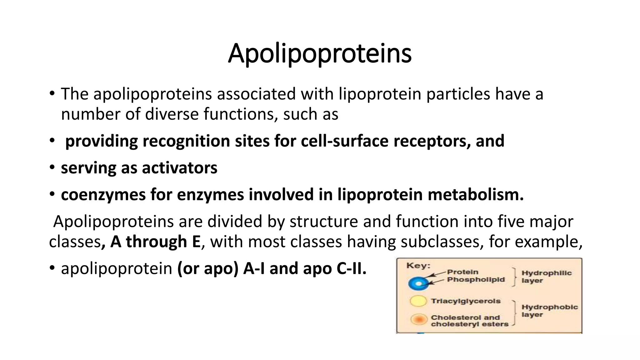Lipoproteins , Lec 62. | PPTX