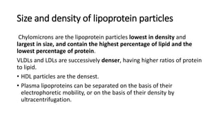 Lipoproteins , Lec 62. | PPTX | Endocrine and Metabolic Diseases ...