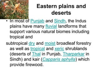 Biodiversity of pakistan | PPT