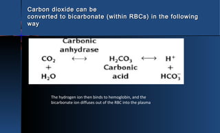 Lec 6a resp Physiology of Exercise | PPT