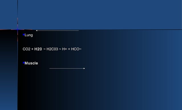 Lec 6a resp Physiology of Exercise | PPT