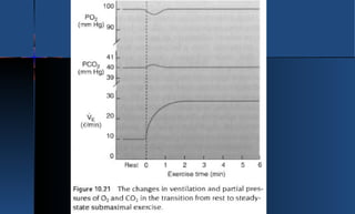 Lec 6a resp Physiology of Exercise | PPT