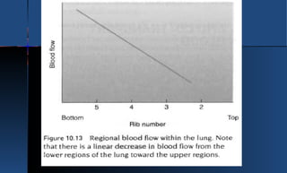 Lec 6a resp Physiology of Exercise | PPT